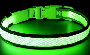 Dog and Pet Care for Central CT - Humble Hounds LLC - Humble Hounds, LLC